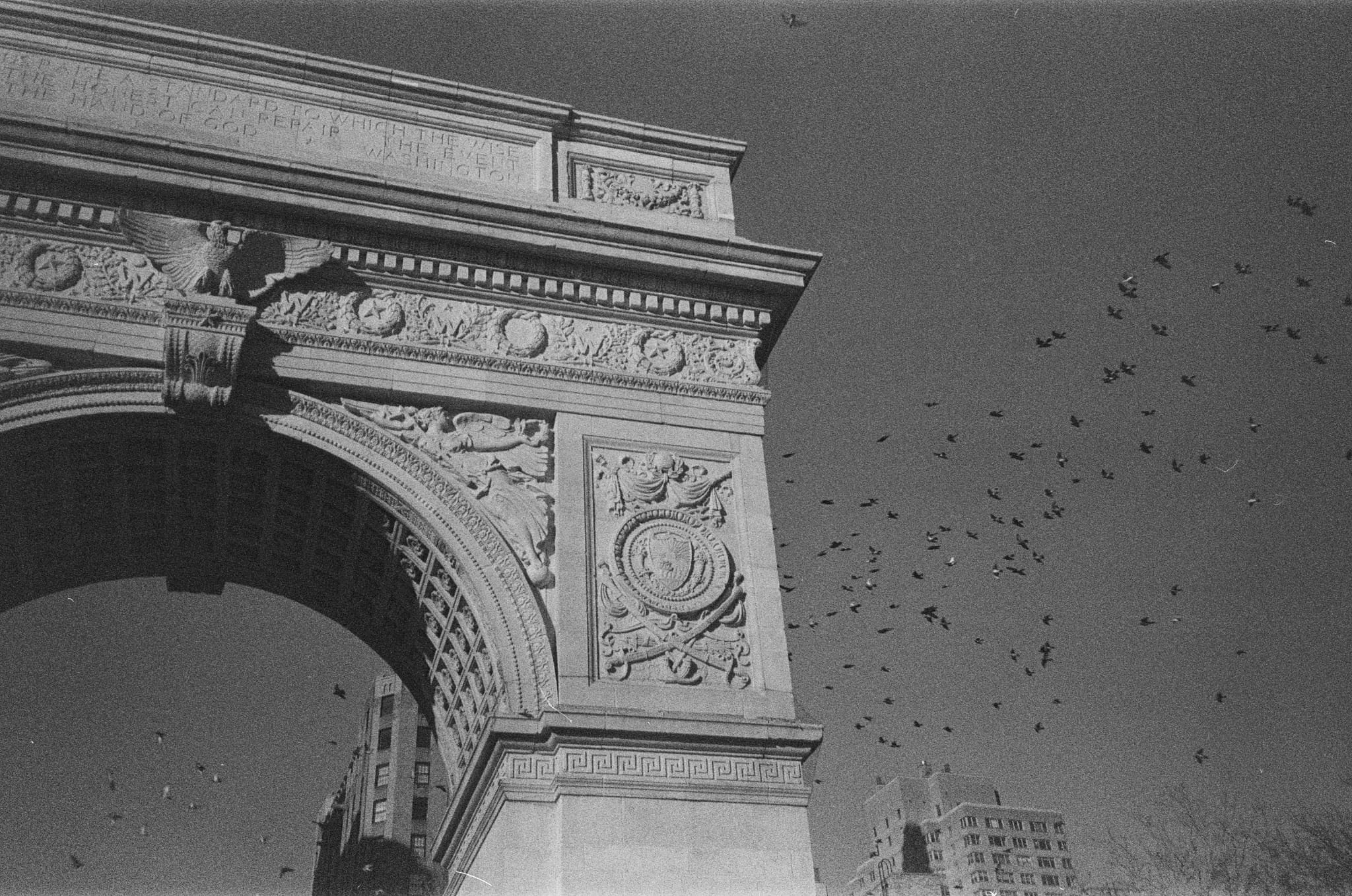 Those Who Leave and Those Who Stay – TCD Misc. Magazine